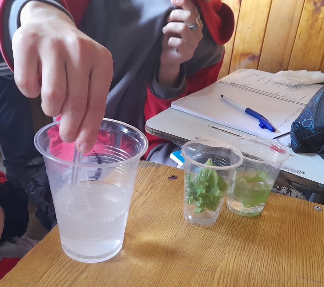 Experimentos en Ciencias – Escuela Nido de Cisnes – Astilleros, Dalcahue